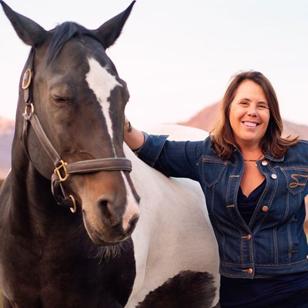 About PVEI | Polyvagal Equine Institute (PVEI)