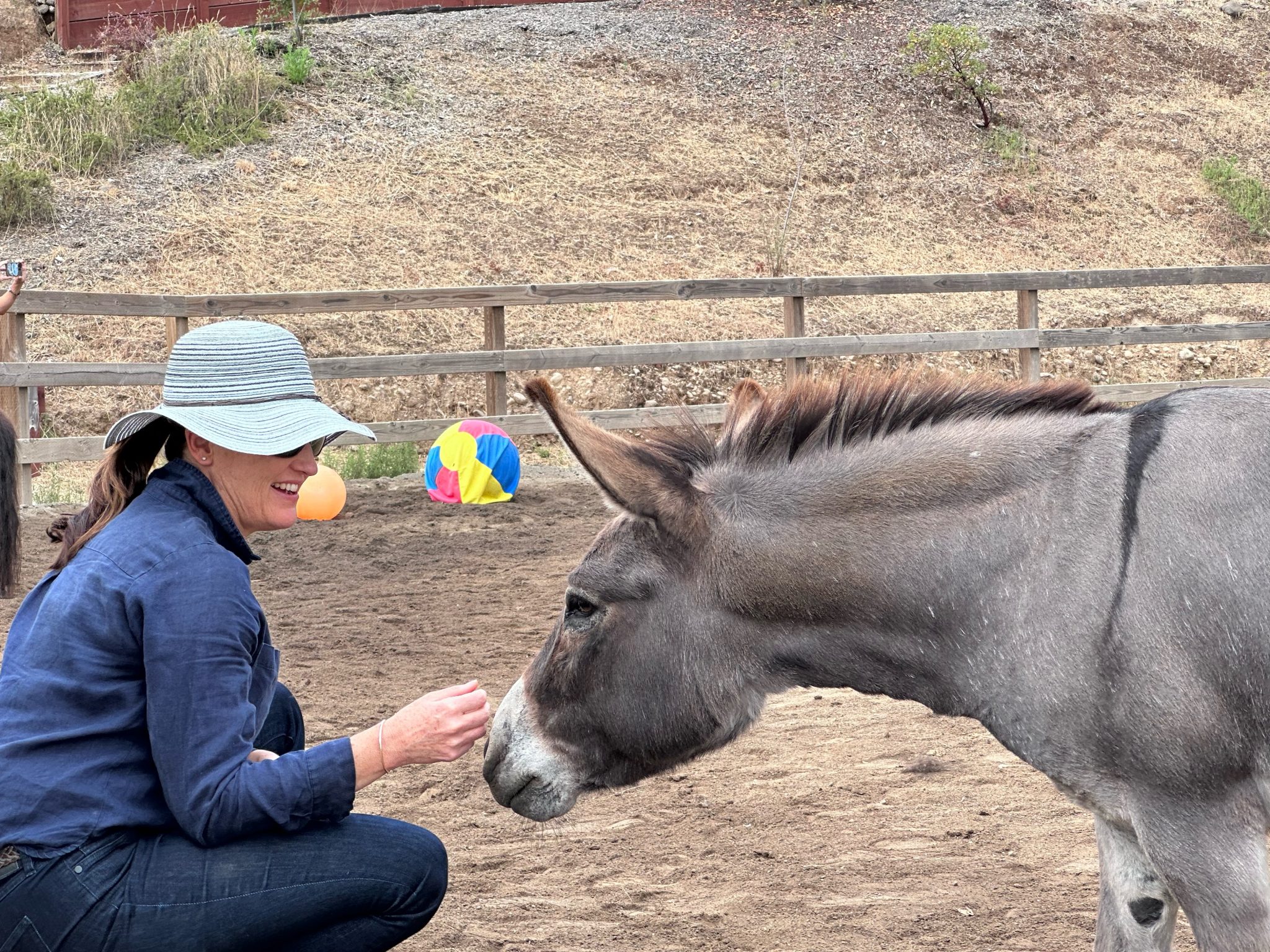 Case Consultation Zoom Group with Dr. Rebecca Bailey and Jane Faulkner ...